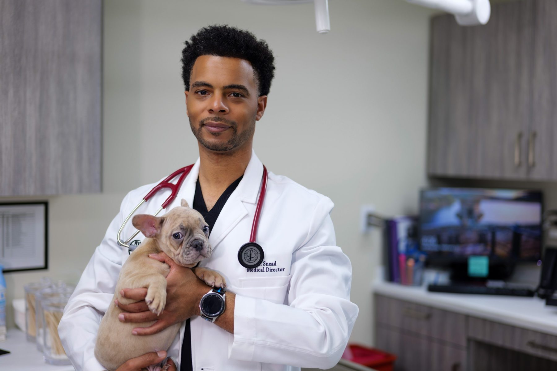 Animal Focus Vet – Fur Babies are our Family - Real Vegas Magazine