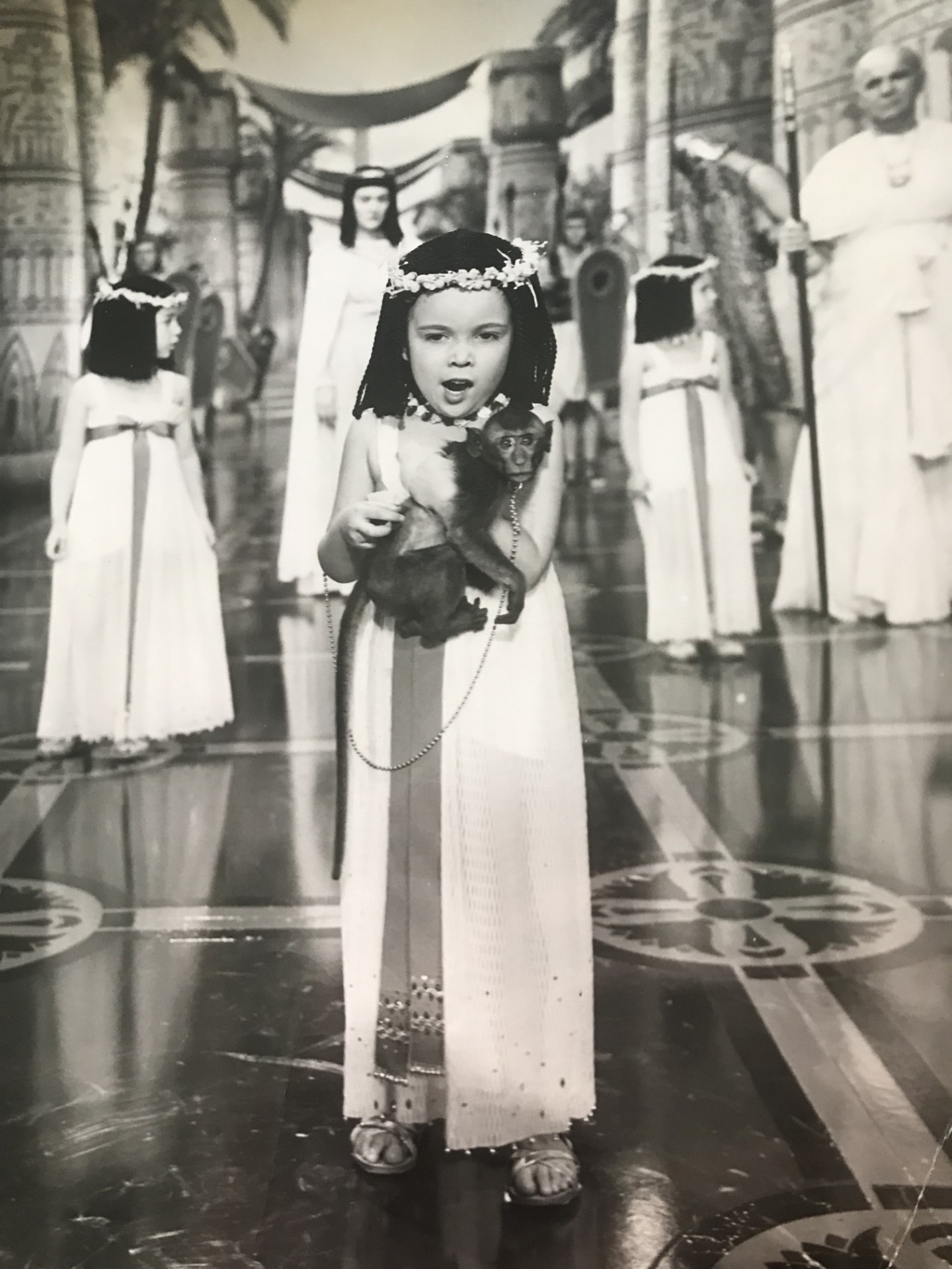 Grace in the Spotlight: The Enduring Charm of Mimi Gibson - Real Vegas ...